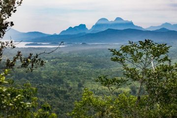Biodiversity of the Limestone Karst Formations of North and North ...